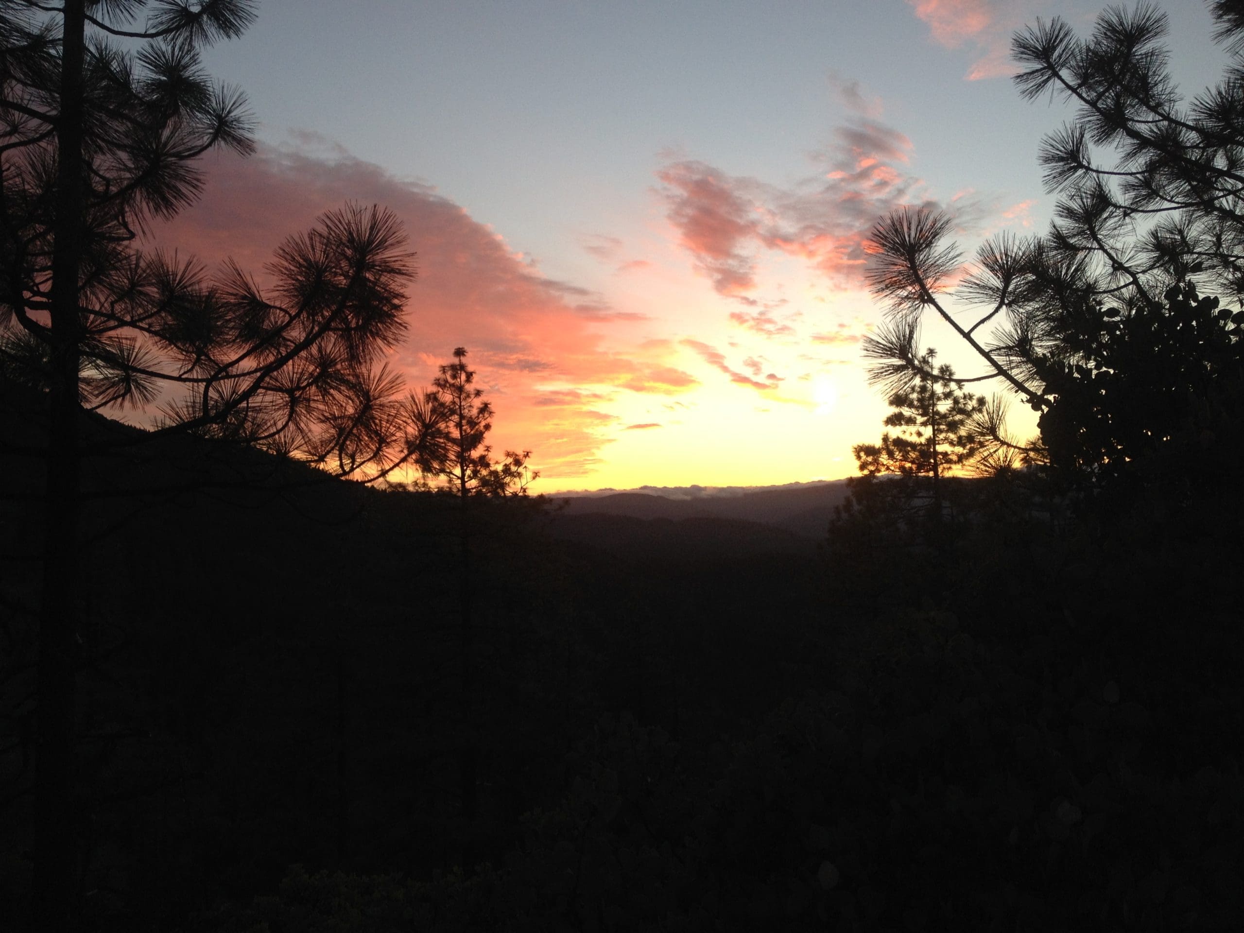 The Winter Solstice and What it Means to Rest - Hope Mountain Nurseries